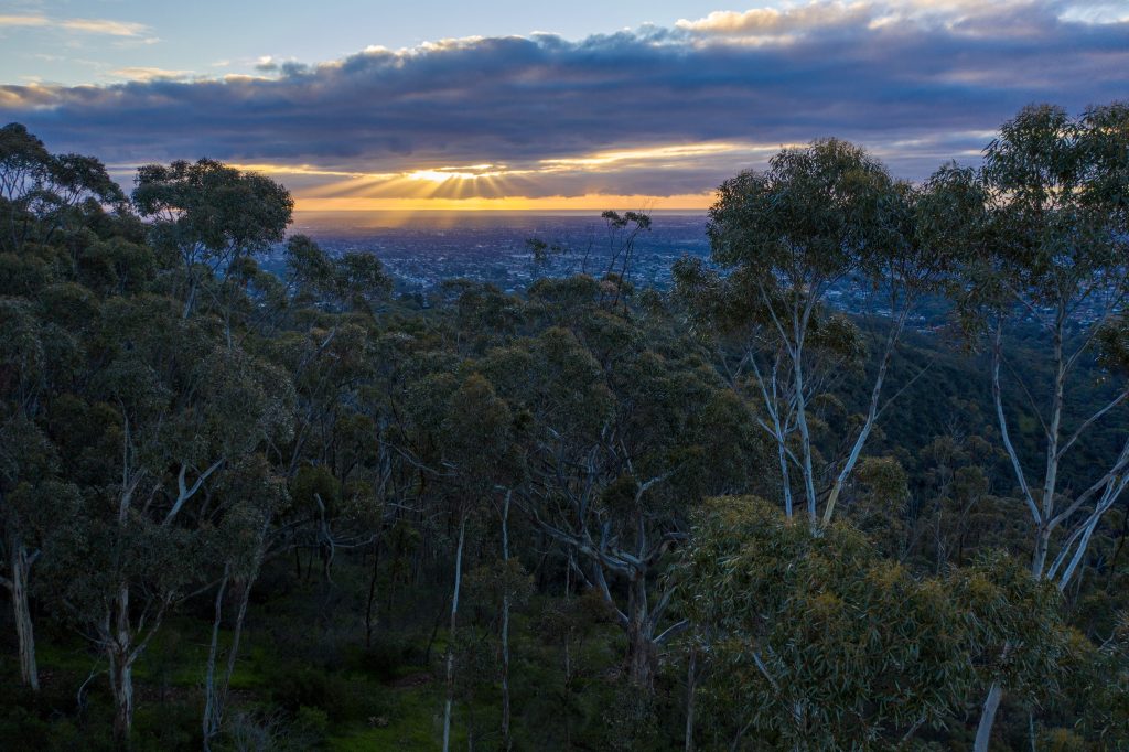 Is Gumeracha, SA a good place to live? | Living in Regional Australia