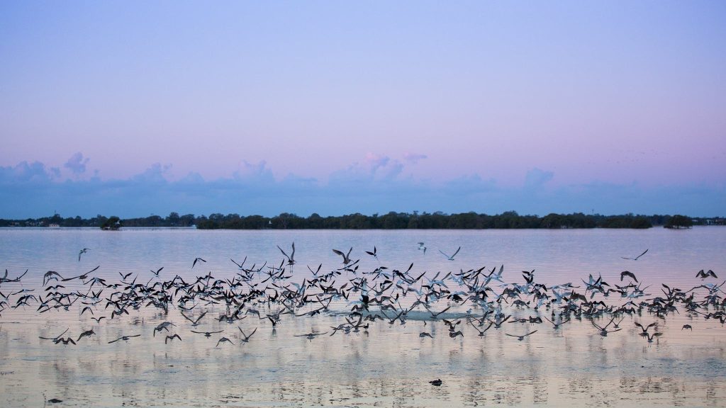 Is Toorbul, QLD a good place to live? | Living in Regional Australia