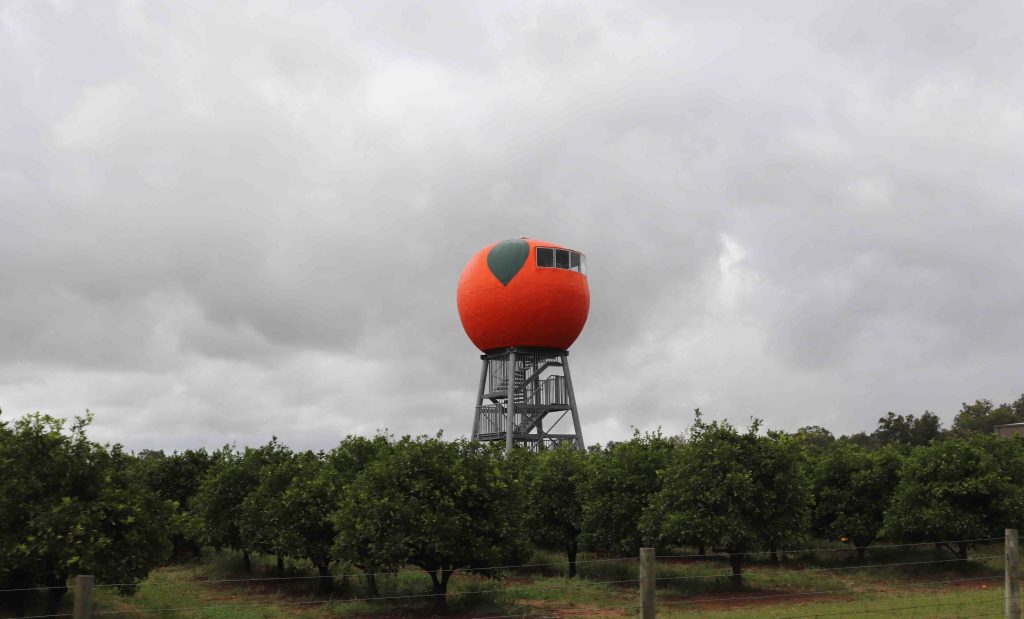 Is Harvey, WA a good place to live? | Living in Regional Australia