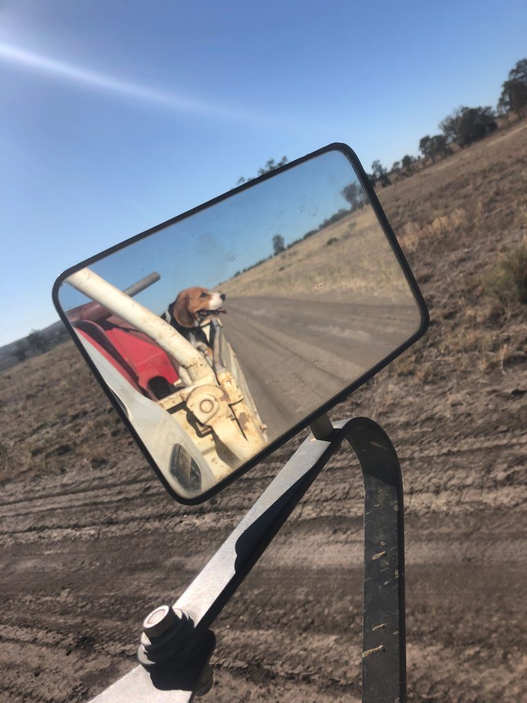 Moving interstate? Car registration and drivers' licence essentials - Move to More