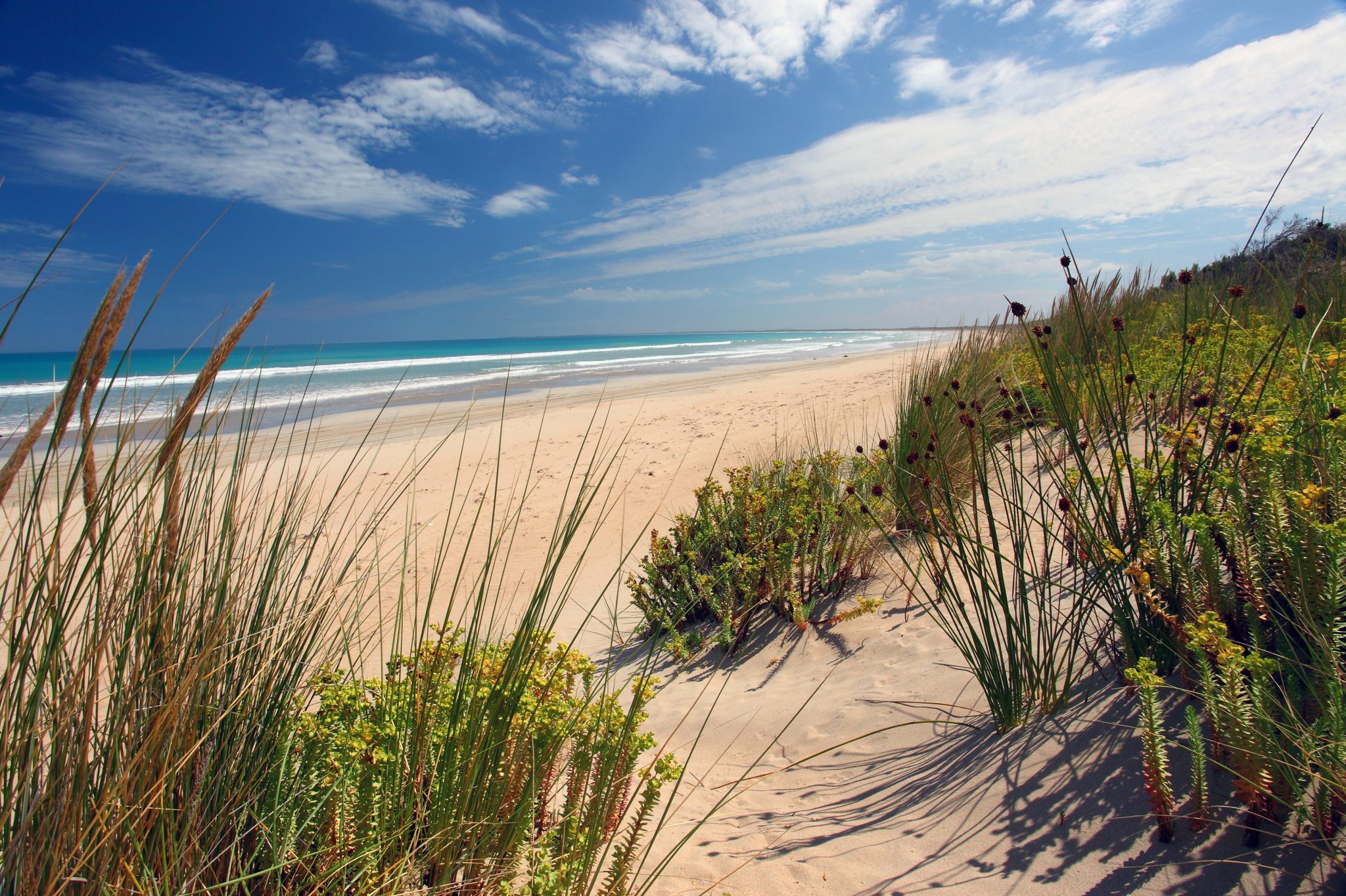 The Official Top 10 Aussie Beaches for 2024